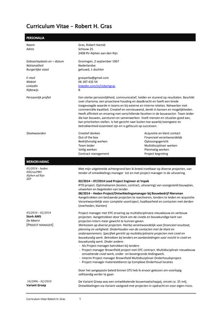 Curriculum Vitae Joris De Wit | PDF | Business | Business and Finance
