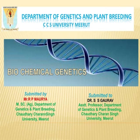 R.P Maurya Bio chemical genetics | PPT