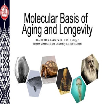 Molecular basis of aging and longevity | PDF