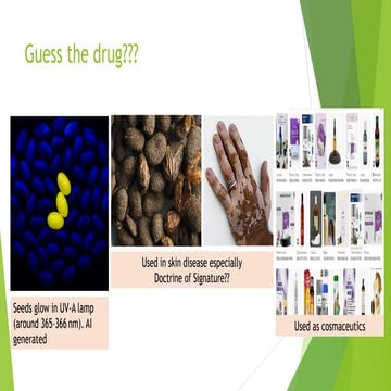 Description of BAKUCHI- PSORALEA CORYLIFOLIA | PDF