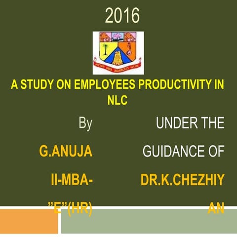 A Study on Employee Productivity | PPTX