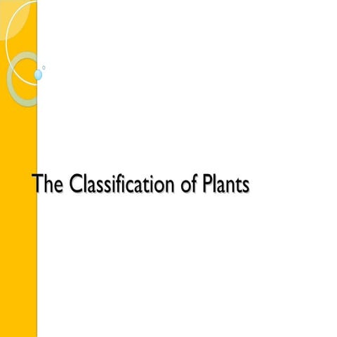 R-The-Classification-of-Plants 25022017.ppt