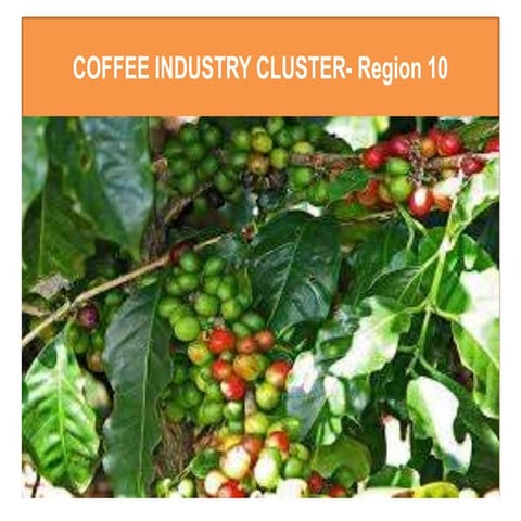 Coffee Industry Cluster Situationer - Region 10 | PPTX