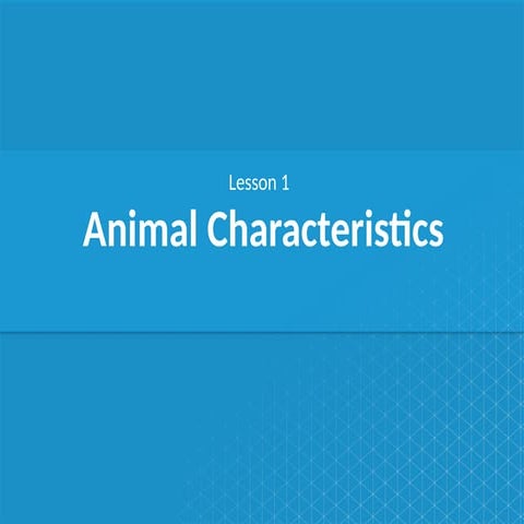 Animal Characteristics powerpoint for grade 11 | PPTX