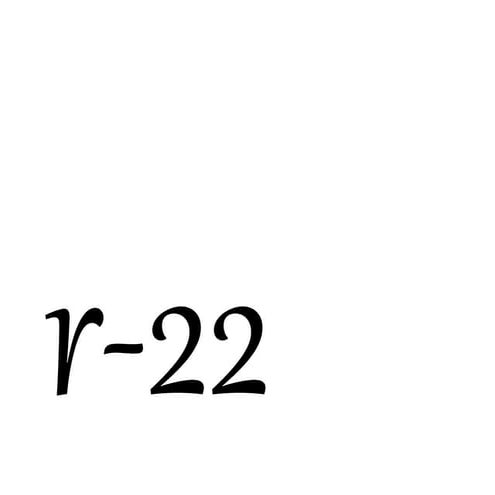 r22.docx