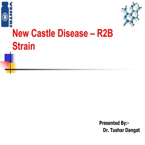 r2b.ppt | Free Download