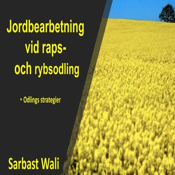 Jordbearbetning vid raps och rybs odling, Sarbast Wali | PDF | Agriculture | Industries
