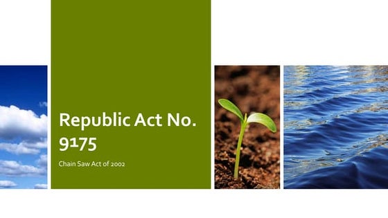 7. PD 705 & RELEVANT FORESTRY LAWS PHILIPPINES | PPT