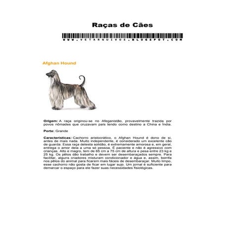 Raças-de-Cães.pdf
