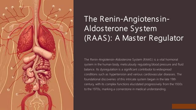 Renin Angiotensin Aldosterone System (RAAS).pptx