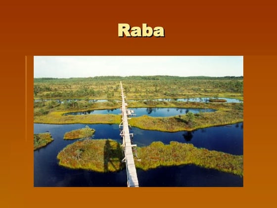 Raba | PPT