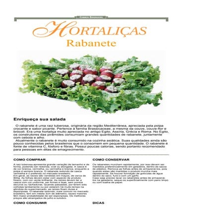 Rabanete | PDF