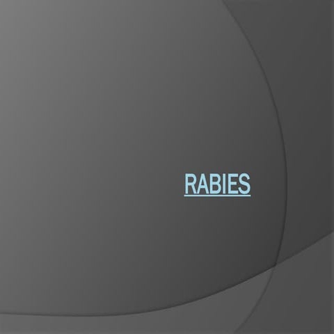 Comprehensive Overview of Rabies: Symptoms, Transmission, and Treatment ...