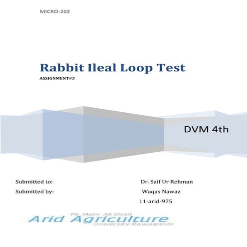 Rabbit ileal loop test | DOCX