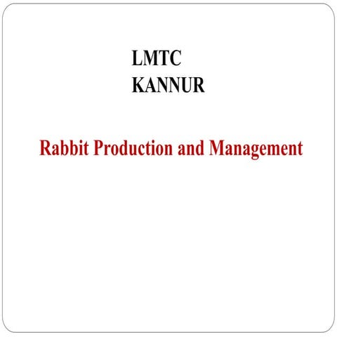 rabbit management rearing pattern, disease prevention,feeding ...