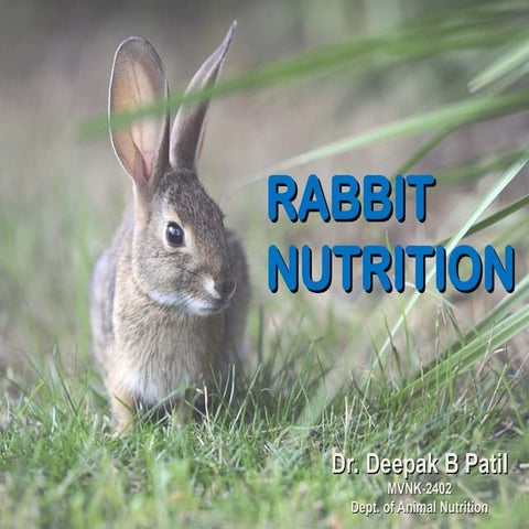 RABBIT NUTRITION, Animal Science, Animal Nutrition. | PPT