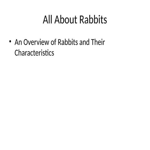 Rabbit_Presentation.ppt are the best doctor | PPT