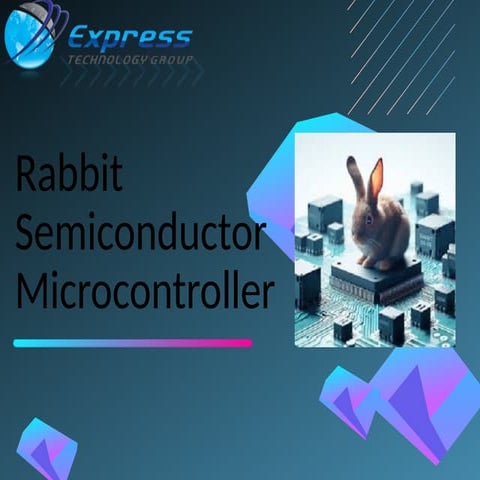 Choosing the Right Rabbit Semiconductor Microcontroller: A Buyer’s Guide | PPTX