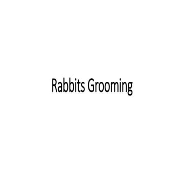 Rabbits Grooming.pptx