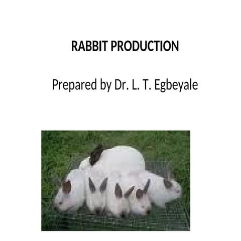 rabbits production.ppt animal products and production | PPT