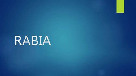 Aleyeli Cordova, Estudiante de medicina