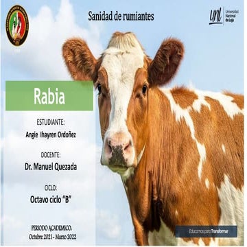 Rabia Diagnóstico y Control | PDF