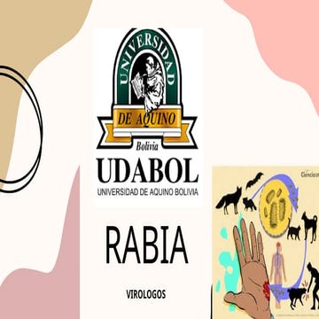 Rabia Diagnóstico y Control | PDF