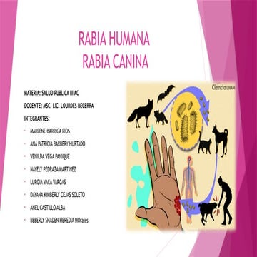 Rabia Diagnóstico y Control | PDF