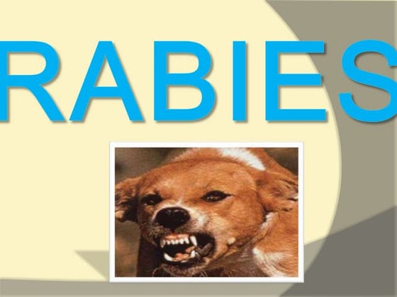 Rabies prevention and control | PPTX