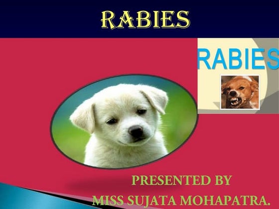 Rabies | PPTX