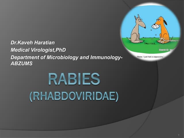 Rabies | PPTX