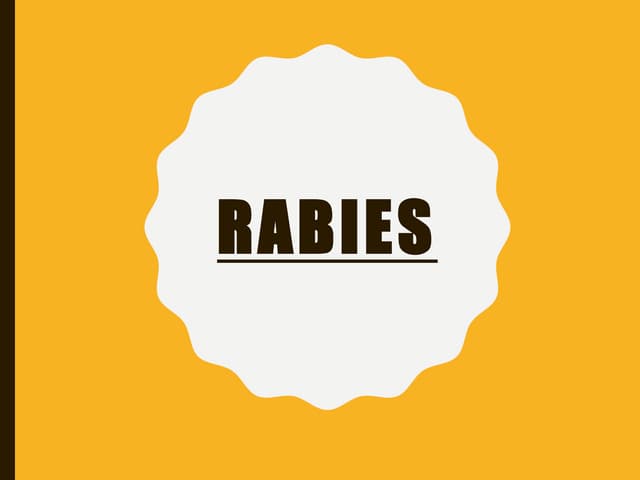 Rabies Awareness | PPT
