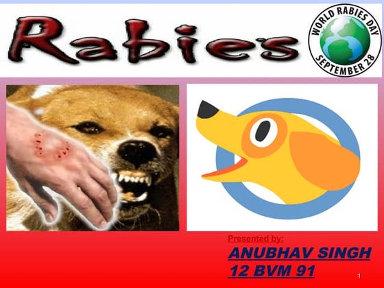 Rabies virus | PDF