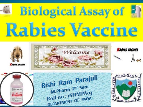 Assays of rabies vaccine | PPTX