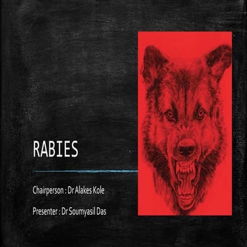 Rabies | PPTX