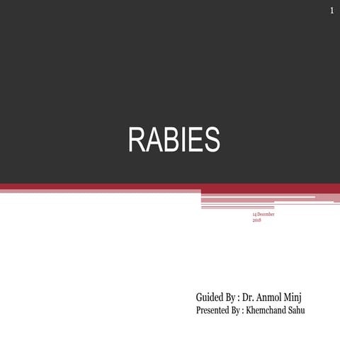 Rabies | PPT