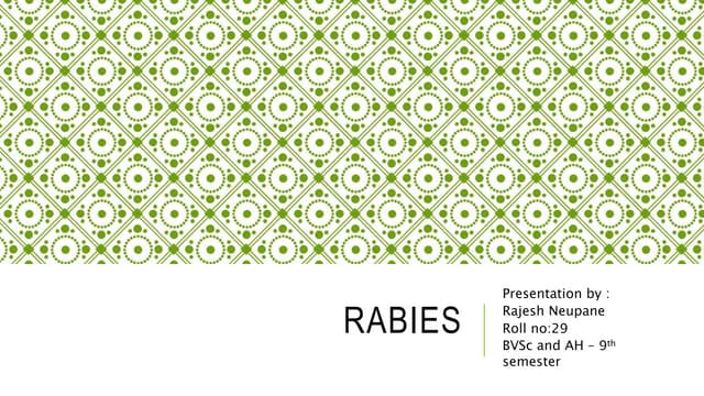 Rabies Awareness | PPT