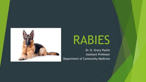 1.RABIES Awareness Presentaion powerpoint | PPTX | Infectious Diseases ...