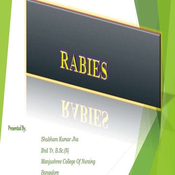 Rabies ppt | PPTX