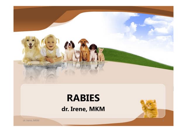 Rabies | PPTX