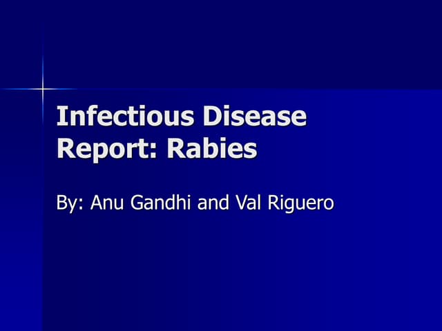 Rabies Awareness | PPT