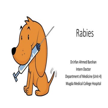 Rabies | PPTX