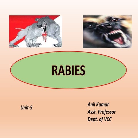 RABIES.pptx
