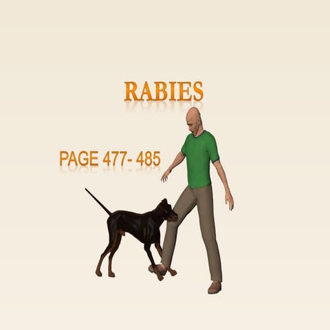 Rabies.ppt