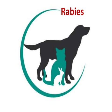 Rabies: The Most Fatal Disease.pptx