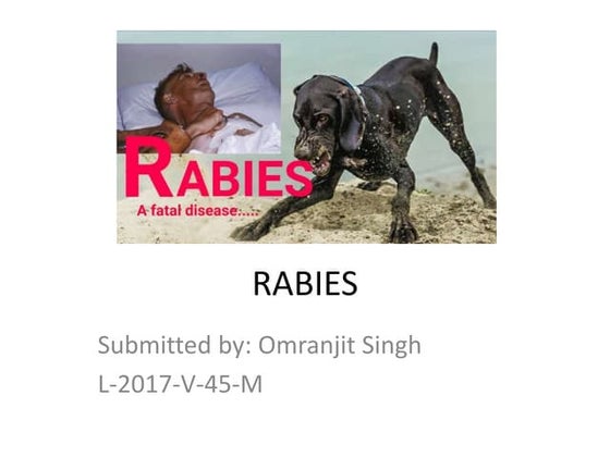 RABIES.pptx