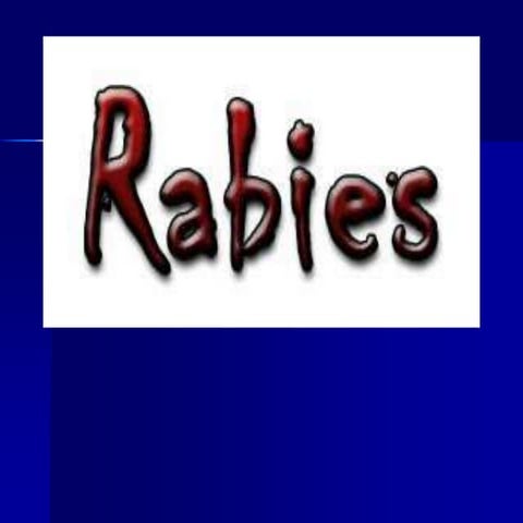 Rabies | PPTX