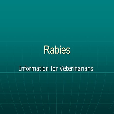 1.RABIES Awareness Presentaion powerpoint | PPTX