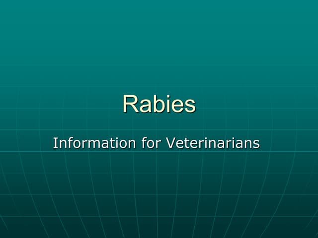 1.RABIES Awareness Presentaion powerpoint | PPTX