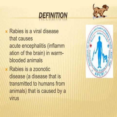 Rabies Medical Biotechnology and Diagnosis | PPT